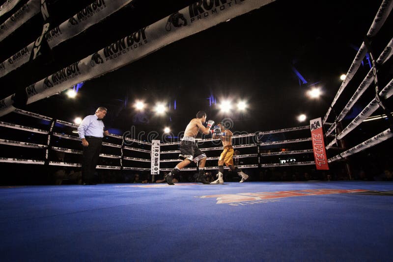 Boxeo Profesional En Phoenix, Arizona Fotografía editorial - Imagen de ...