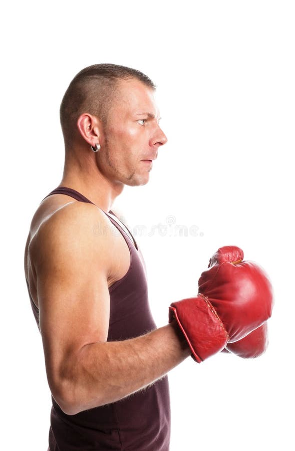 Boxer stock photo. Image of concentrated, boxer, serious - 10943286