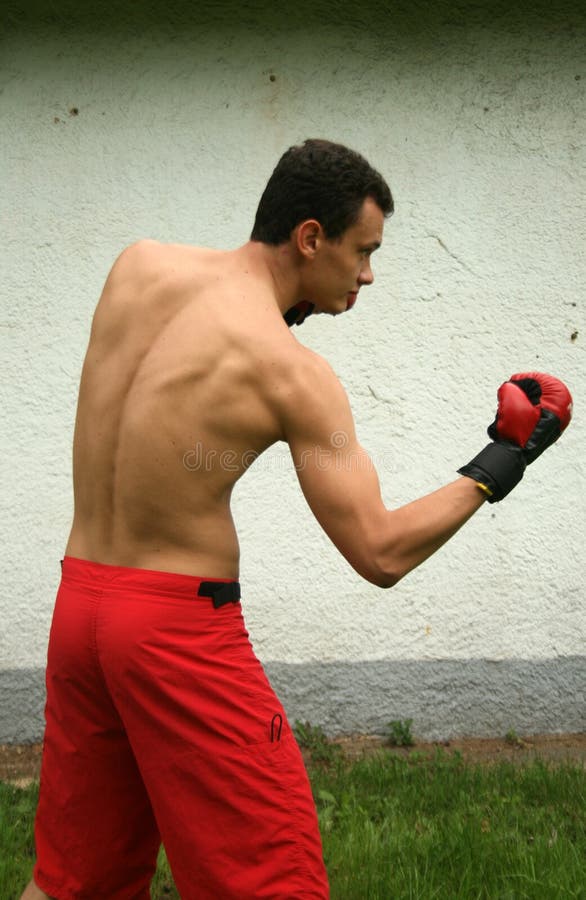 Man punching a tree stock image. Image of power, green - 18060047