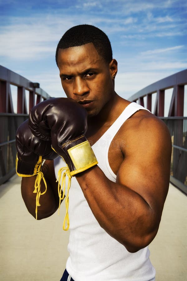 Boxer stock image. Image of adult, african, stare, young - 17535755