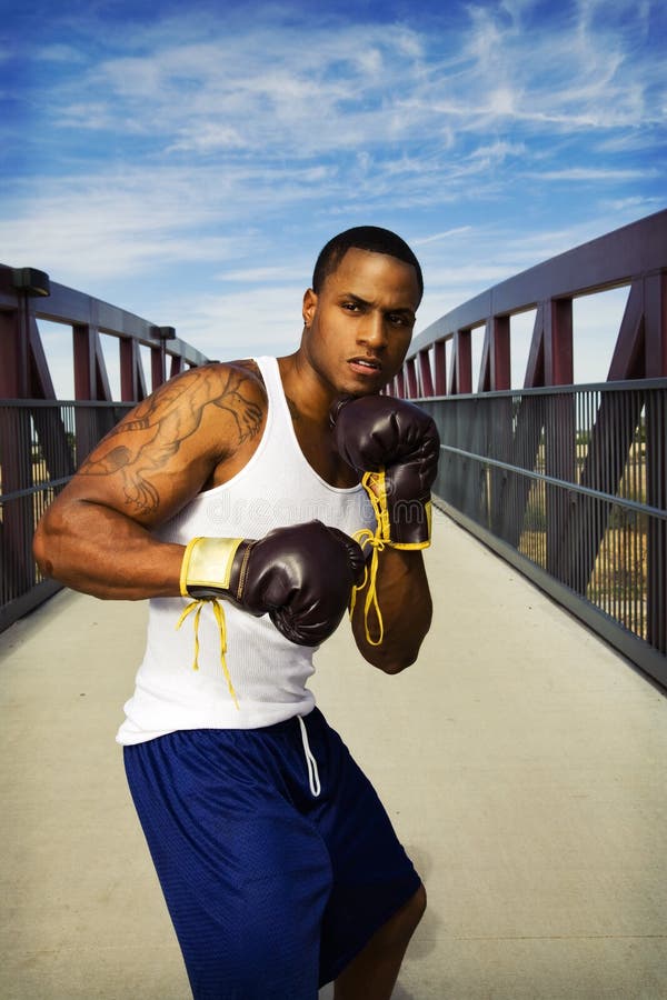 Boxer stock image. Image of muscle, serious, african - 17535757
