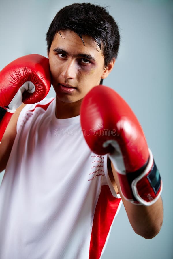 Red Fox stock image. Image of nature, night, closed, rough - 21066425