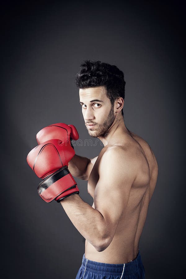 Boxer stock image. Image of space, boxing, athletic, boxer - 25923459
