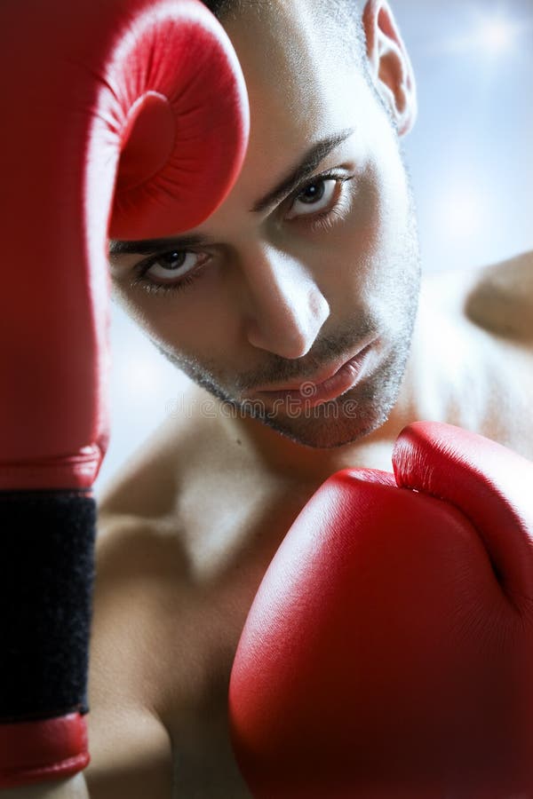 Boxer stock photo. Image of boxing, people, adult, determination - 7154134
