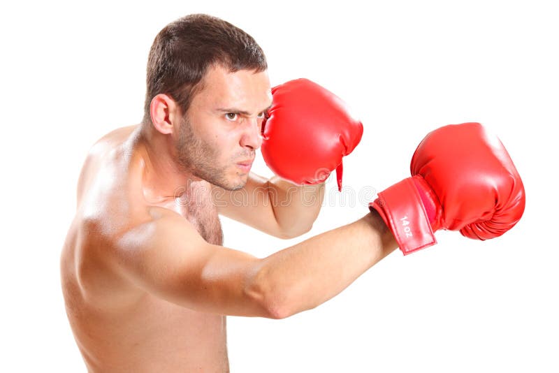 Boxer in action stock image. Image of looking, portrait - 11257717