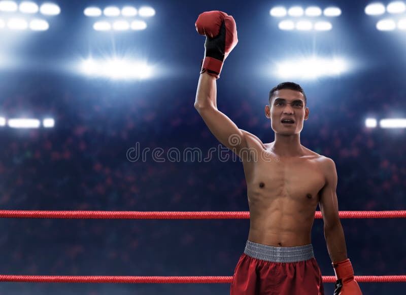 Boxer Athlete Winning the Matches Stock Image - Image of challenge ...