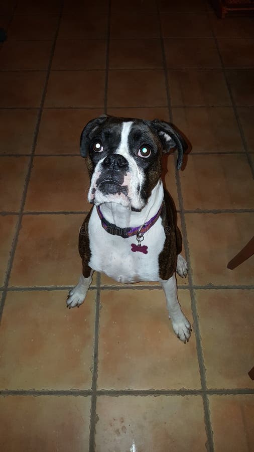 Beautiful Brendle Stock Photos - Free & Royalty-Free Stock Photos from ...