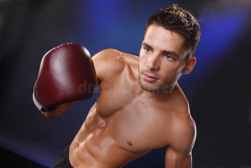 Boxer on blue stock image. Image of boxers, muscular - 15761545