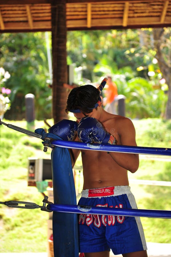 Boxer in concetration editorial photo. Image of ring - 17423371