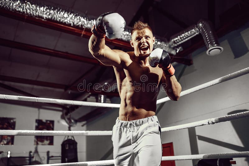 Boxer. Confident Young Boxer on the Boxing Ring Stock Photo - Image of ...