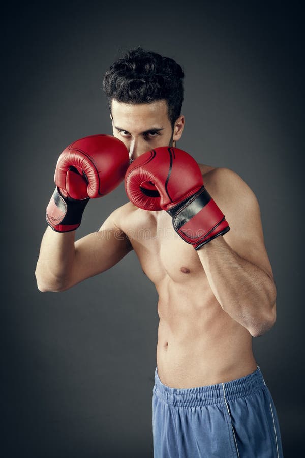 Boxer in Defensive Position Stock Image - Image of waiting, ready: 25923429