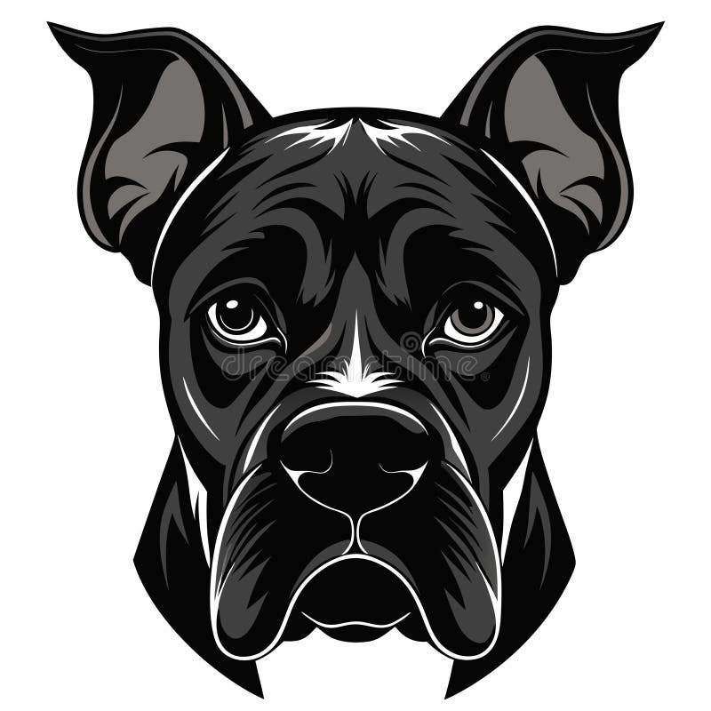 Boxer Dog Front View of Head Silhouette Vector Illustration White ...