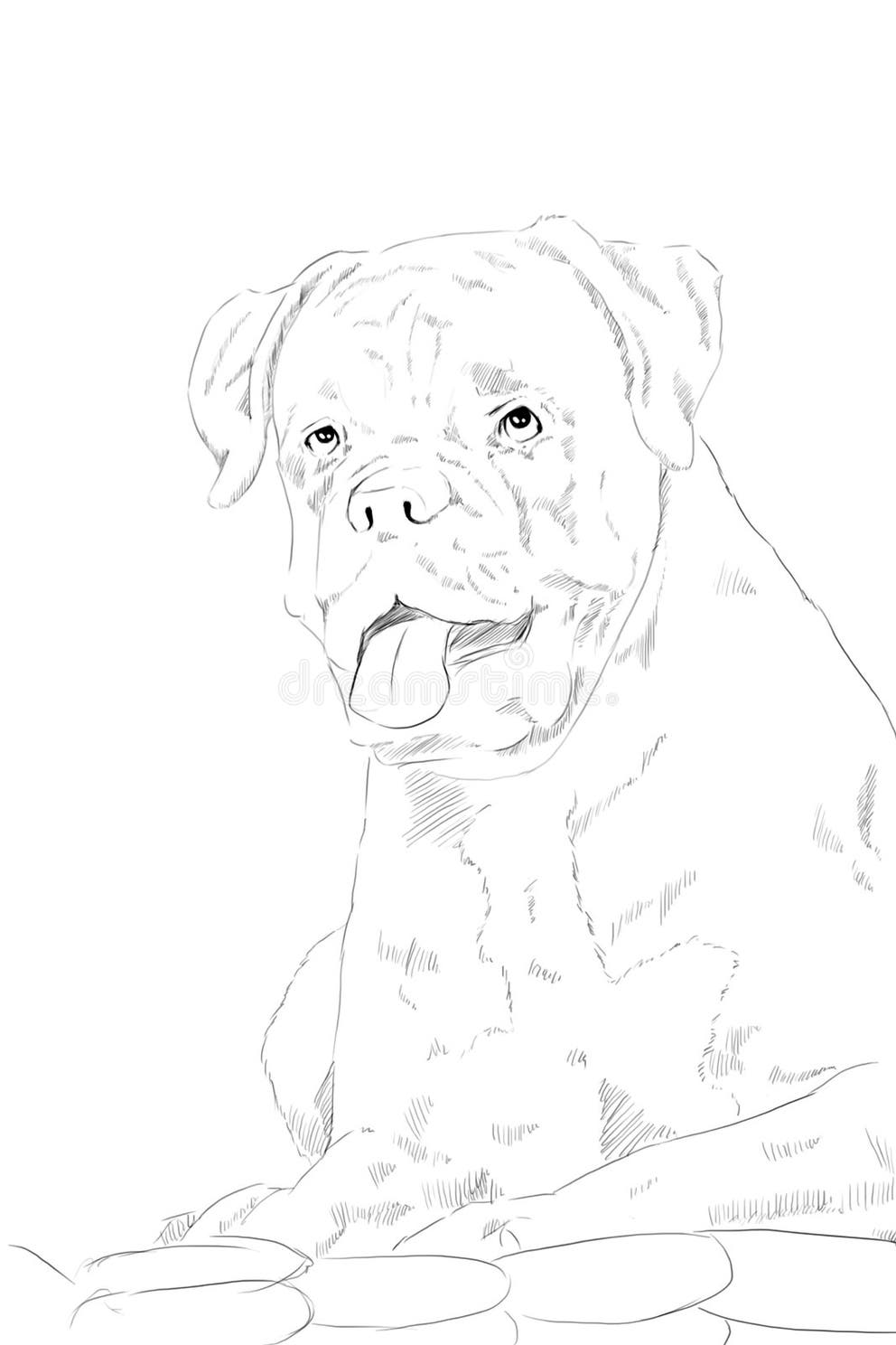 Dog Scetch Stock Illustrations – 24 Dog Scetch Stock Illustrations ...