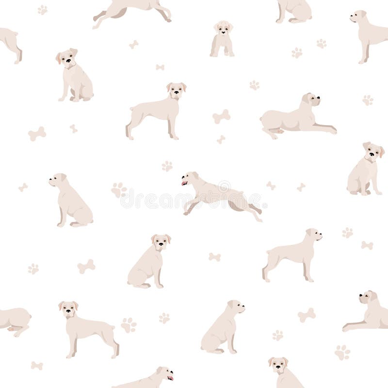 Boxer Dog Seamless Pattern. Different Poses, Puppy Stock Vector ...