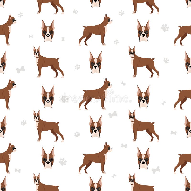 Boxer dog seamless pattern stock vector. Illustration of front - 264802406