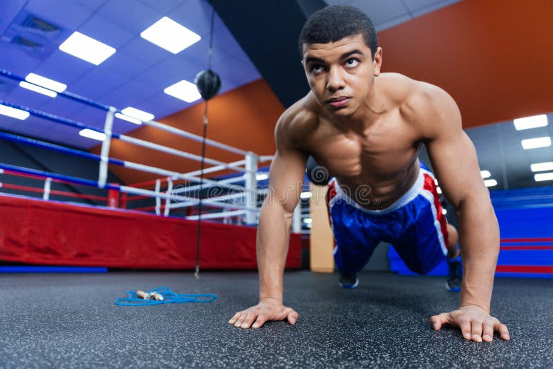 Musular Boxer Stock Photos - Free & Royalty-Free Stock Photos from ...