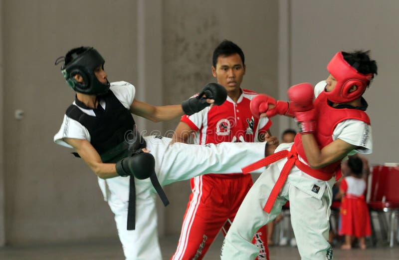 Boxer editorial stock image. Image of central, boxer - 57428419