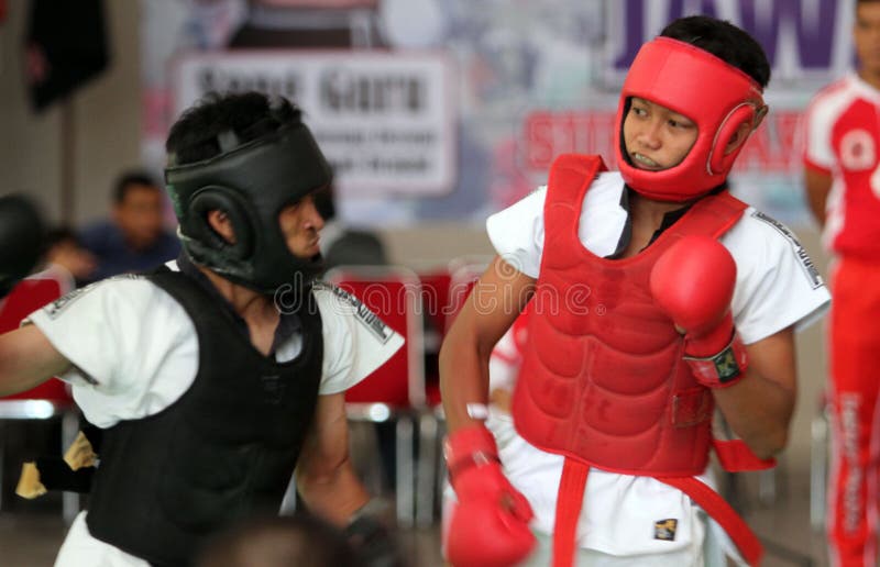 Boxer editorial photography. Image of solo, boxing, stadium - 57428427