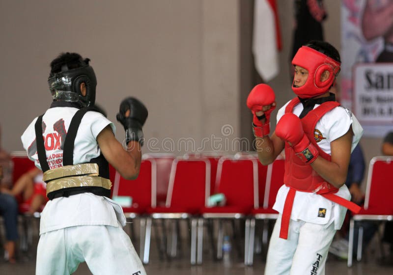 Boxer editorial photo. Image of boxing, central, sports - 57428466