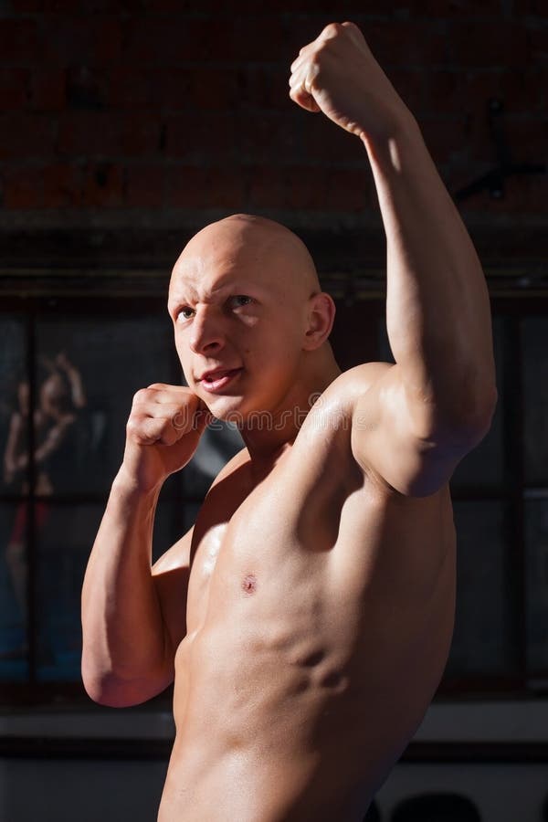 232 Laughing Boxer Stock Photos - Free & Royalty-Free Stock Photos from ...