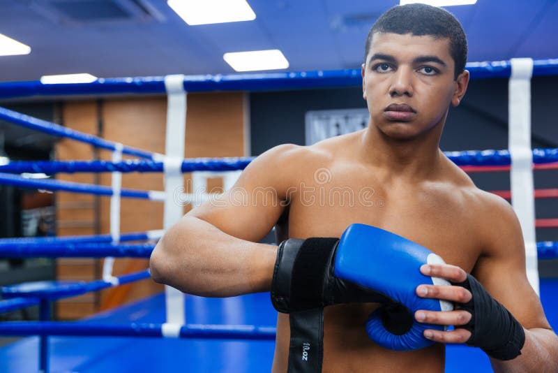 Boxer Getting Ready for Fight Stock Image - Image of rough, adult: 67150647