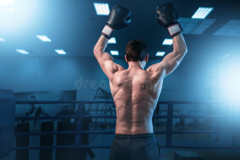 Boxer in Gloves Hands Up on the Ring, Back View Stock Photo - Image of ...