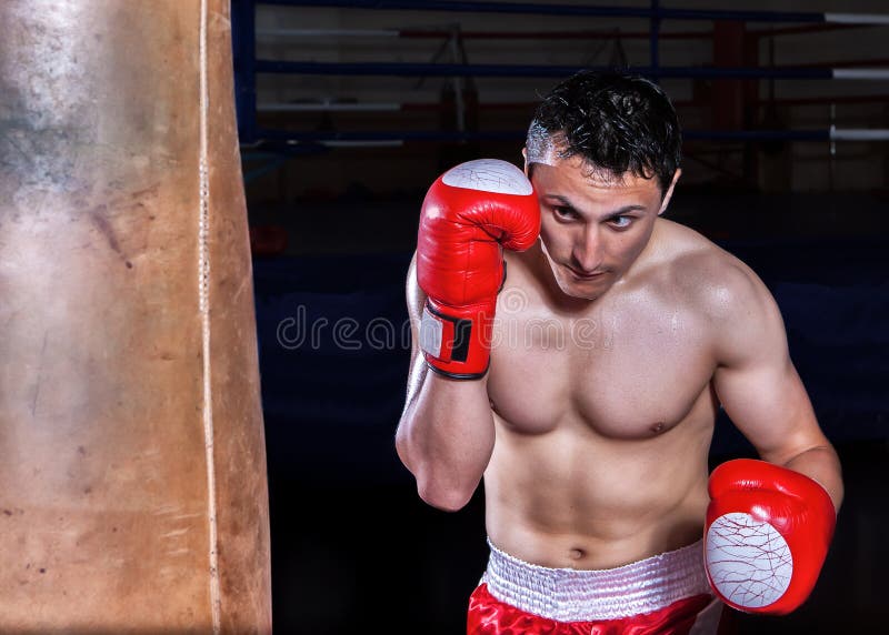 Defensive moves stock photo. Image of gloves, strong, puncher - 1361566