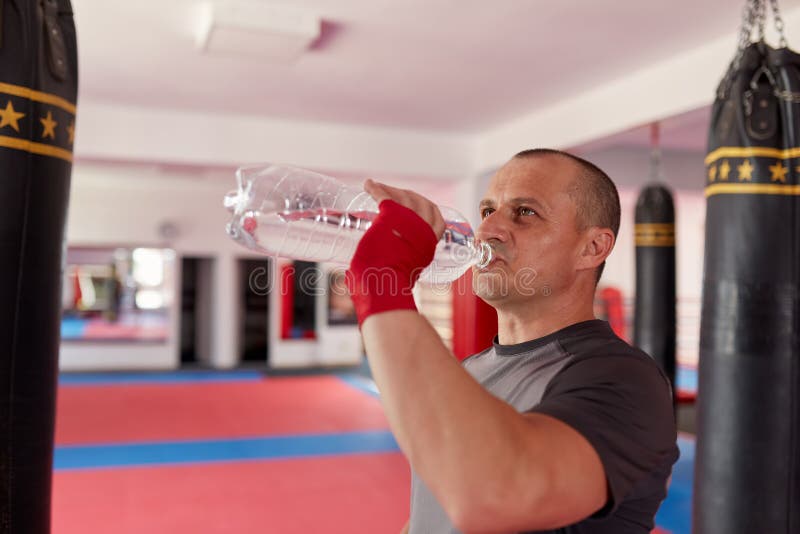 Boxer drinking water stock image. Image of active, mature - 151864617