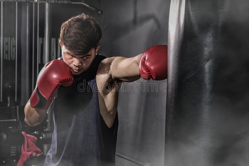 Boxer Hitting a Huge Punching Bag at a Boxing Studio Stock Photo ...