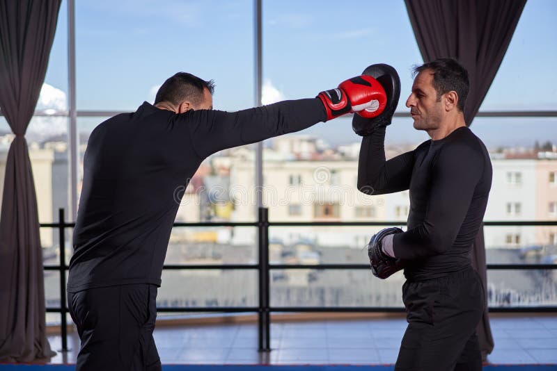 Boxer training with coach stock photo. Image of healthy - 173931842