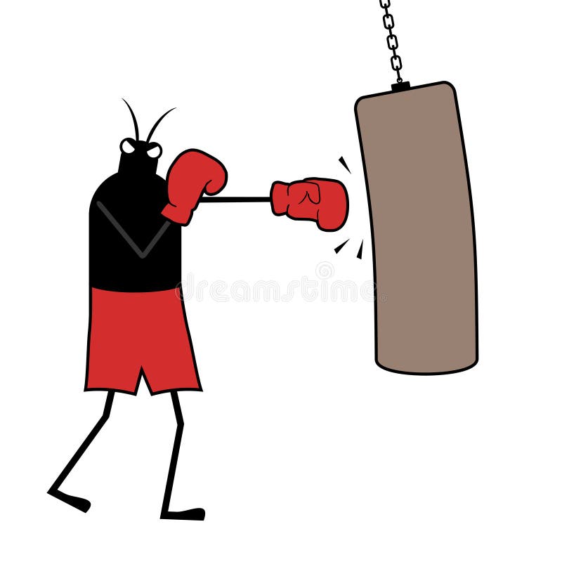 Boxer insect illustration stock vector. Illustration of nature - 97835103