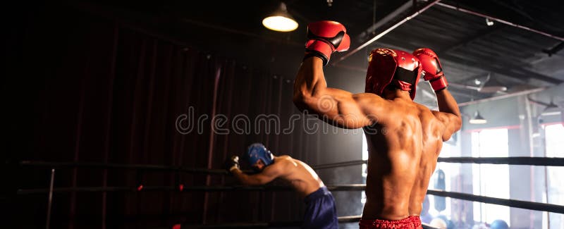 Boxer and Intimidation with Victory or Winner Posing. Spur Stock Photo ...