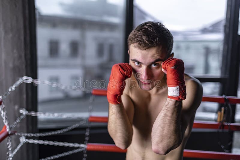 Boxer Man in Ring stock image. Image of kickboxing, handsome - 140373931