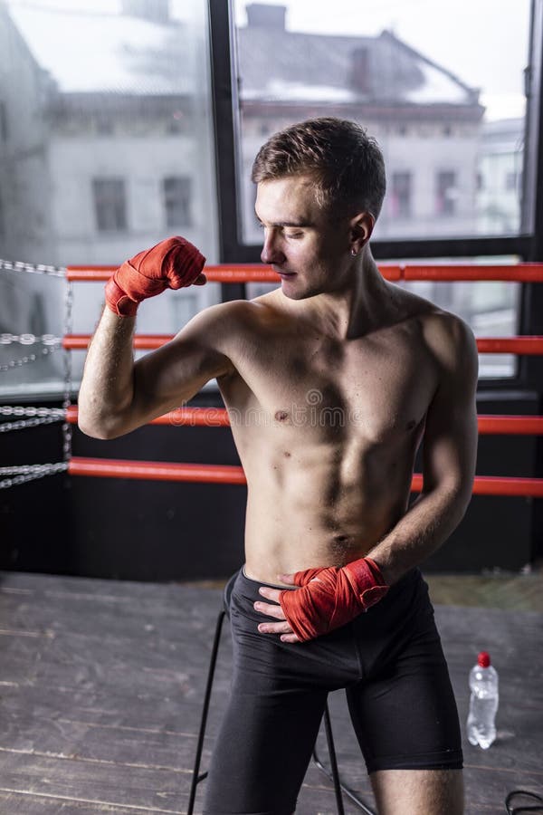 The Boxer Man stock image. Image of adult, business - 115455903