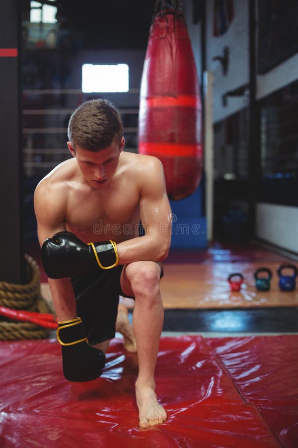 Boxer Performing Boxing Stance Stock Image - Image of handsome, glove ...
