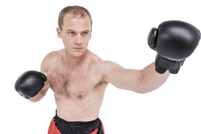Boxer Performing Upright Stance Stock Image - Image of strong, boxing ...