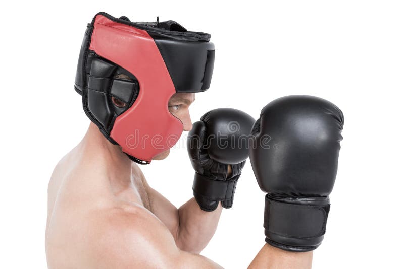 Boxer Performing Upright Stance Stock Image - Image of strong, boxing ...