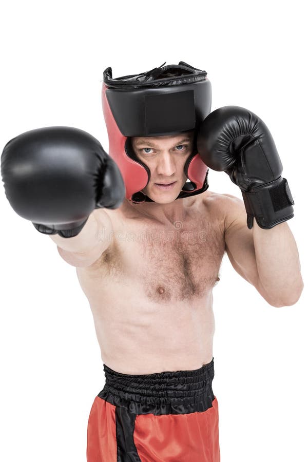 Boxer Performing Upright Stance Stock Image - Image of strong, boxing ...