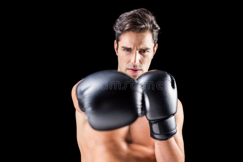 Boxer Performing Upright Stance Stock Photo - Image of health ...