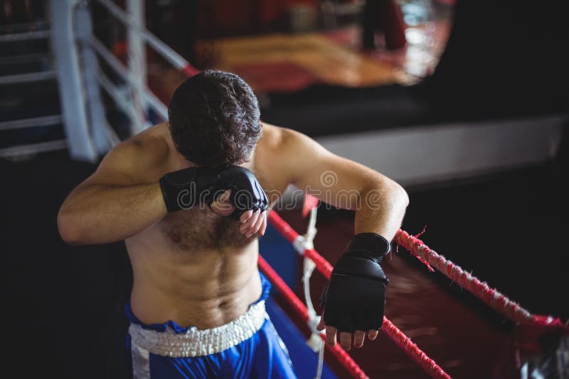 Boxer posing after defeat stock image. Image of boxer - 81419299