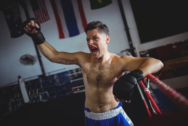 Excited Boxer Looking at His Gold Medal Stock Image - Image of flag ...