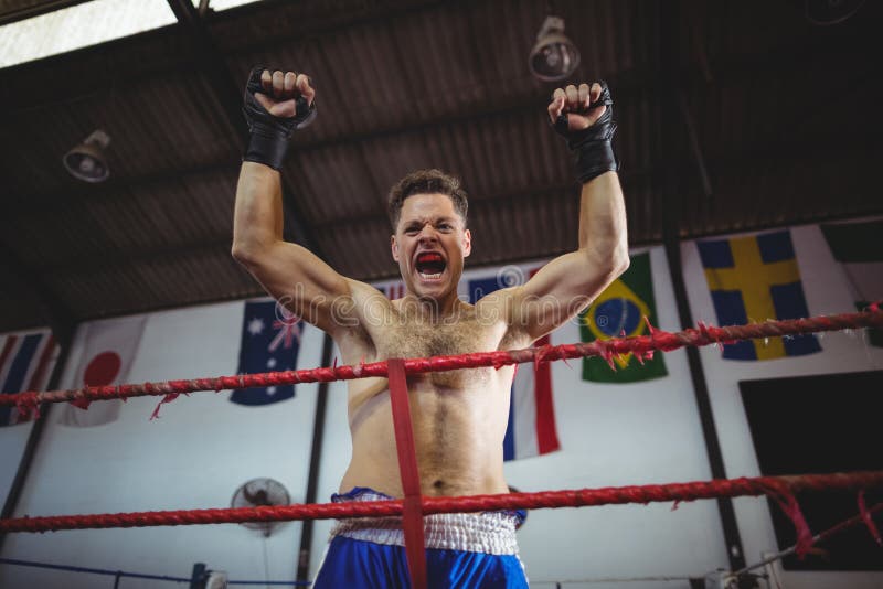 Excited Boxer Looking at His Gold Medal Stock Image - Image of flag ...