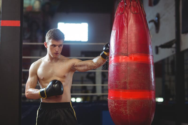 Boxer Practicing Boxing with Punching Bag Stock Image - Image of action ...