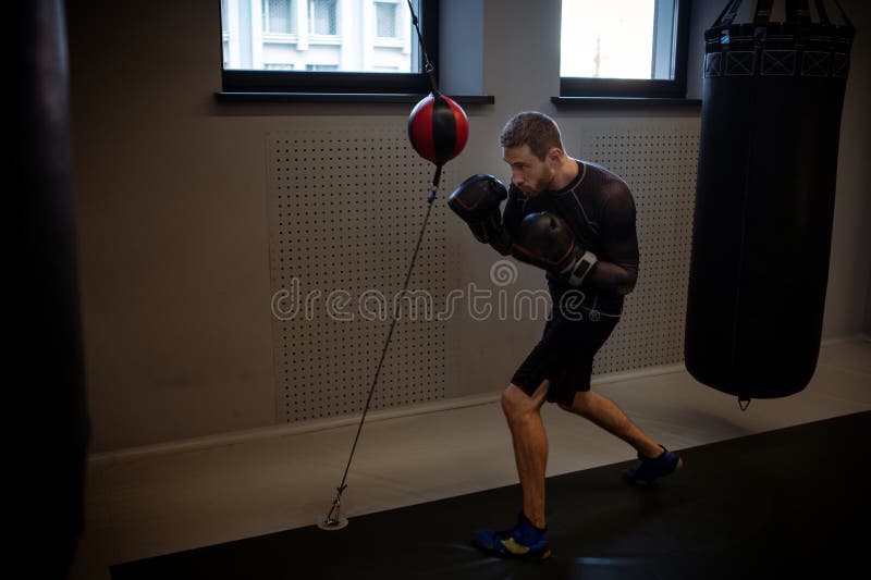 Boxer Practicing Coordination and Punches on Floor-to-ceiling Bag in ...