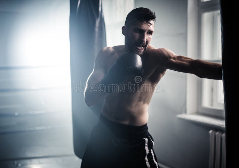 Big Hard Boxer Puncher Spar Fight Red Gloves Stock Image - Image of ...