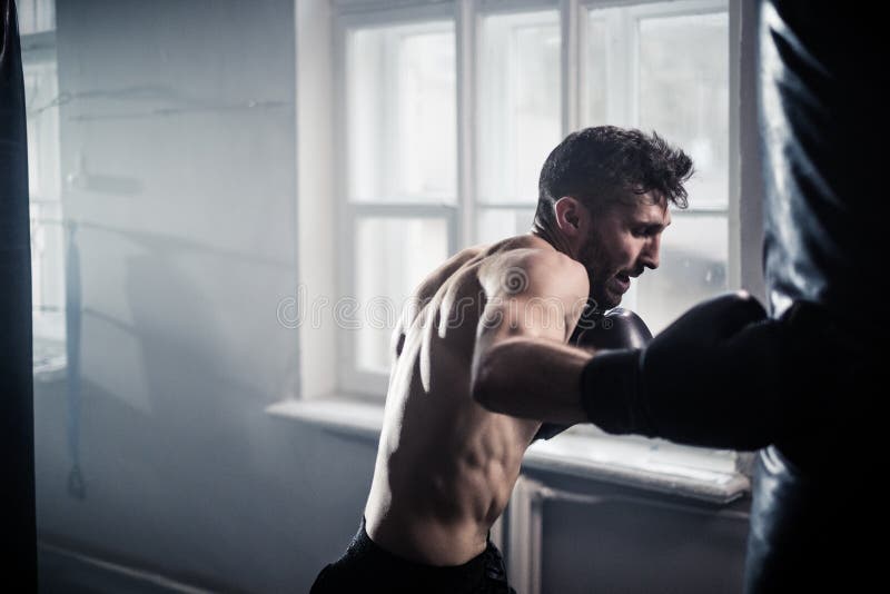 Boxer Preparing for a Hard Fight Stock Photo - Image of aggression ...