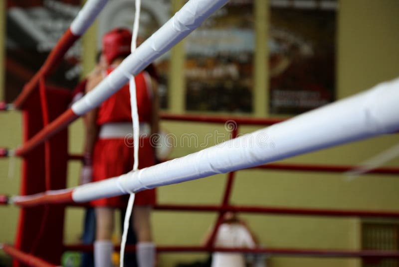 The Boxer in the Red Corner Stock Image - Image of arts, boxer: 45499125