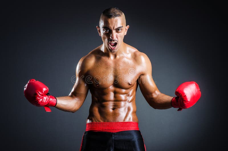 Boxer with red gloves stock image. Image of glove, manager - 27907795