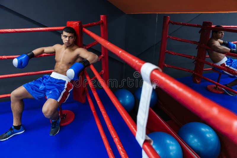Boxer Resting in Boxing Ring Stock Photo - Image of resting, muscular ...