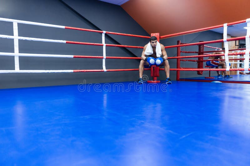 Boxer Resting in Boxing Ring Stock Photo - Image of fighter, towel ...